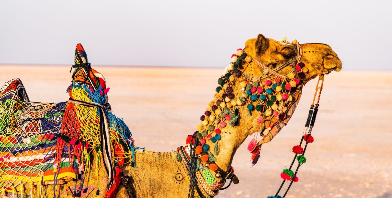 The Indosphere | From Ancient Past To Present